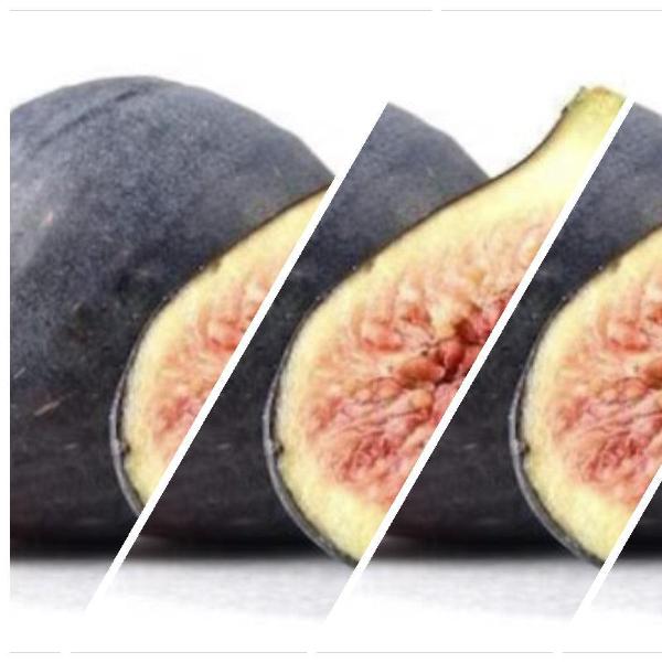 Advanced Nursery Growers: Elevating Expertise in the Horticultural Sector